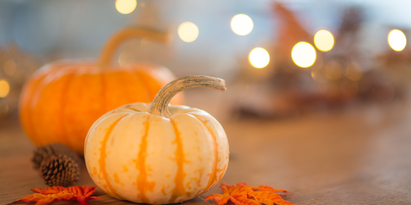 The First Thanksgiving: All Were Grieving Yet Grateful | Locke Funeral ...