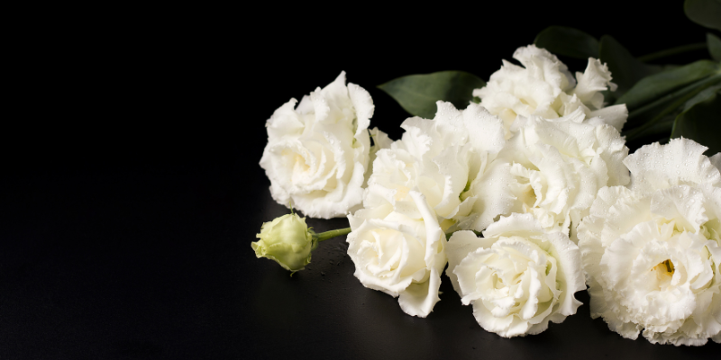 How to Write a Eulogy | Locke Funeral Services